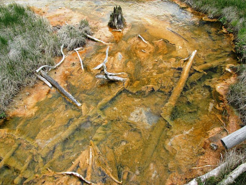 How To Treat Iron Bacteria in Well Water - DROP